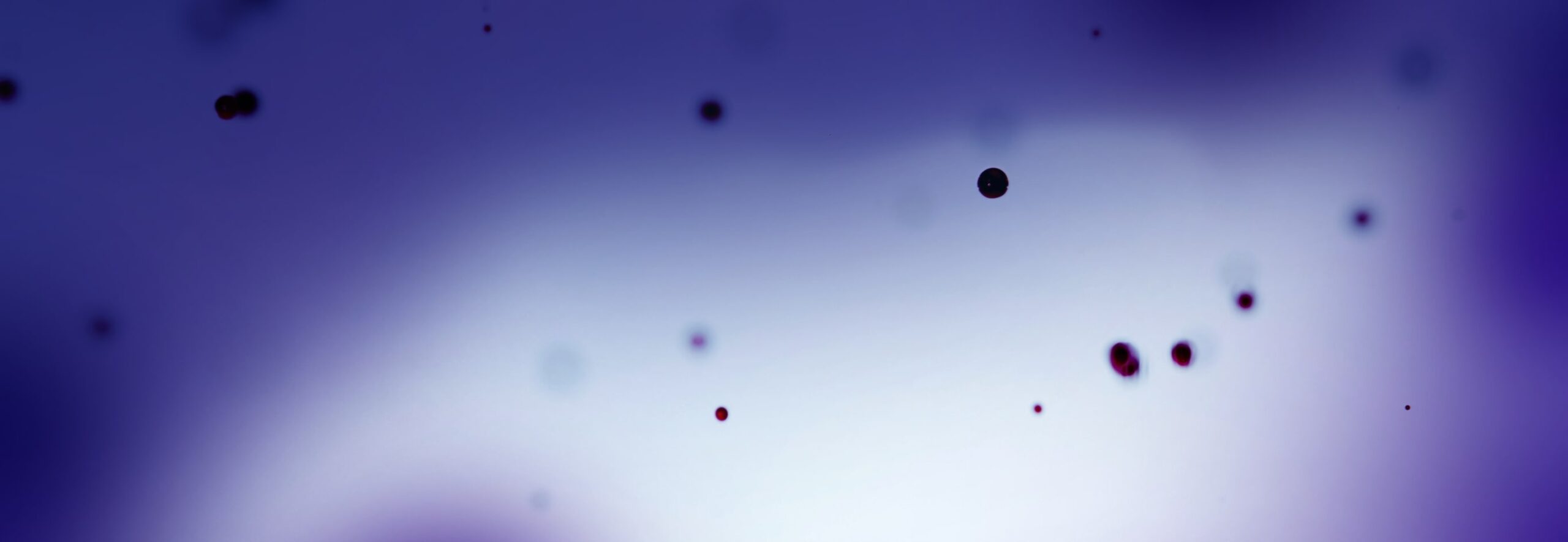 Particulate Matter Count & Filter Paper Analysis